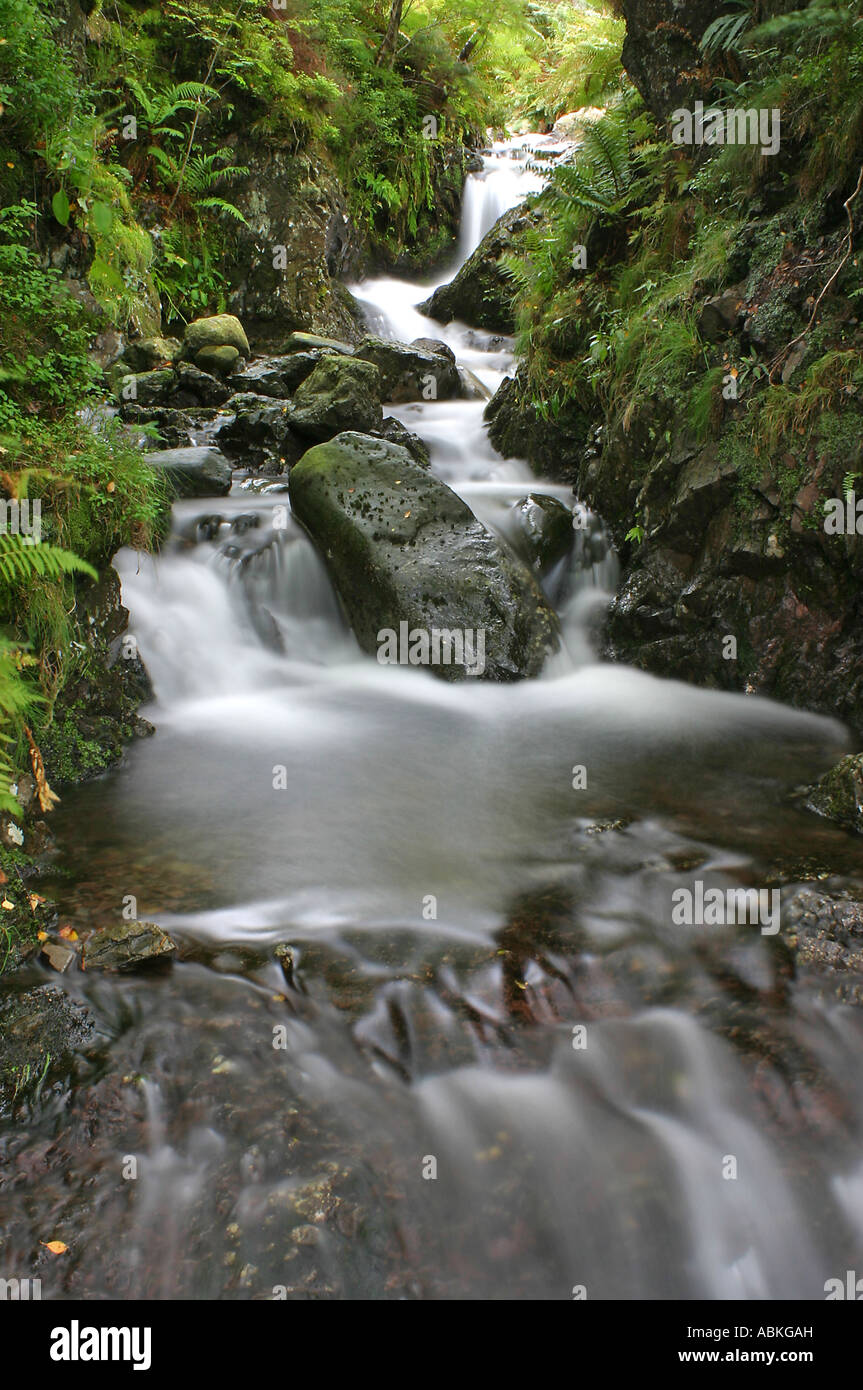 A bubbling brook in North England Stock Photo - Alamy