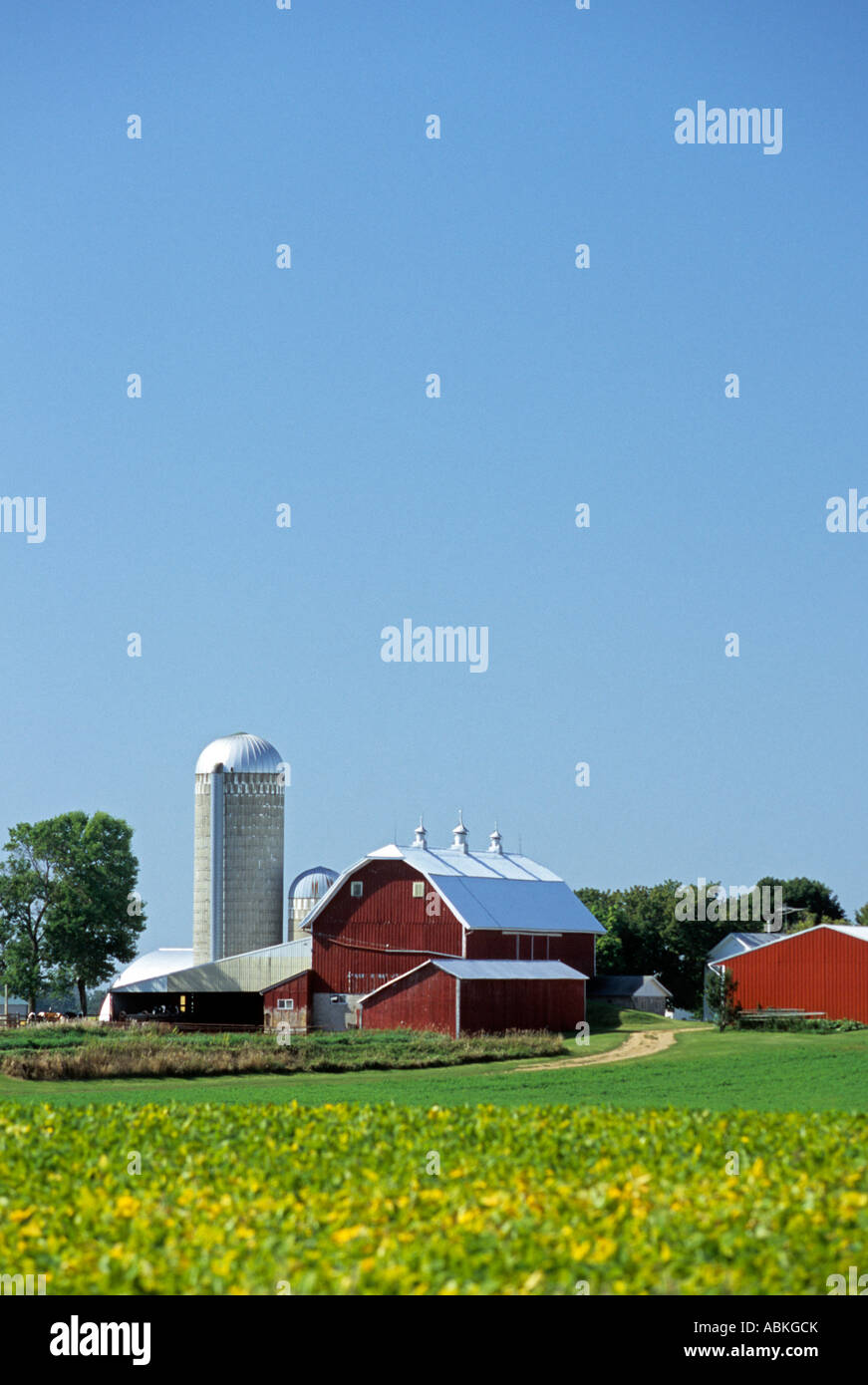 FARMSTEAD IN SOUTHERN MINNESOTA, U.S.A. SUMMER Stock Photo - Alamy