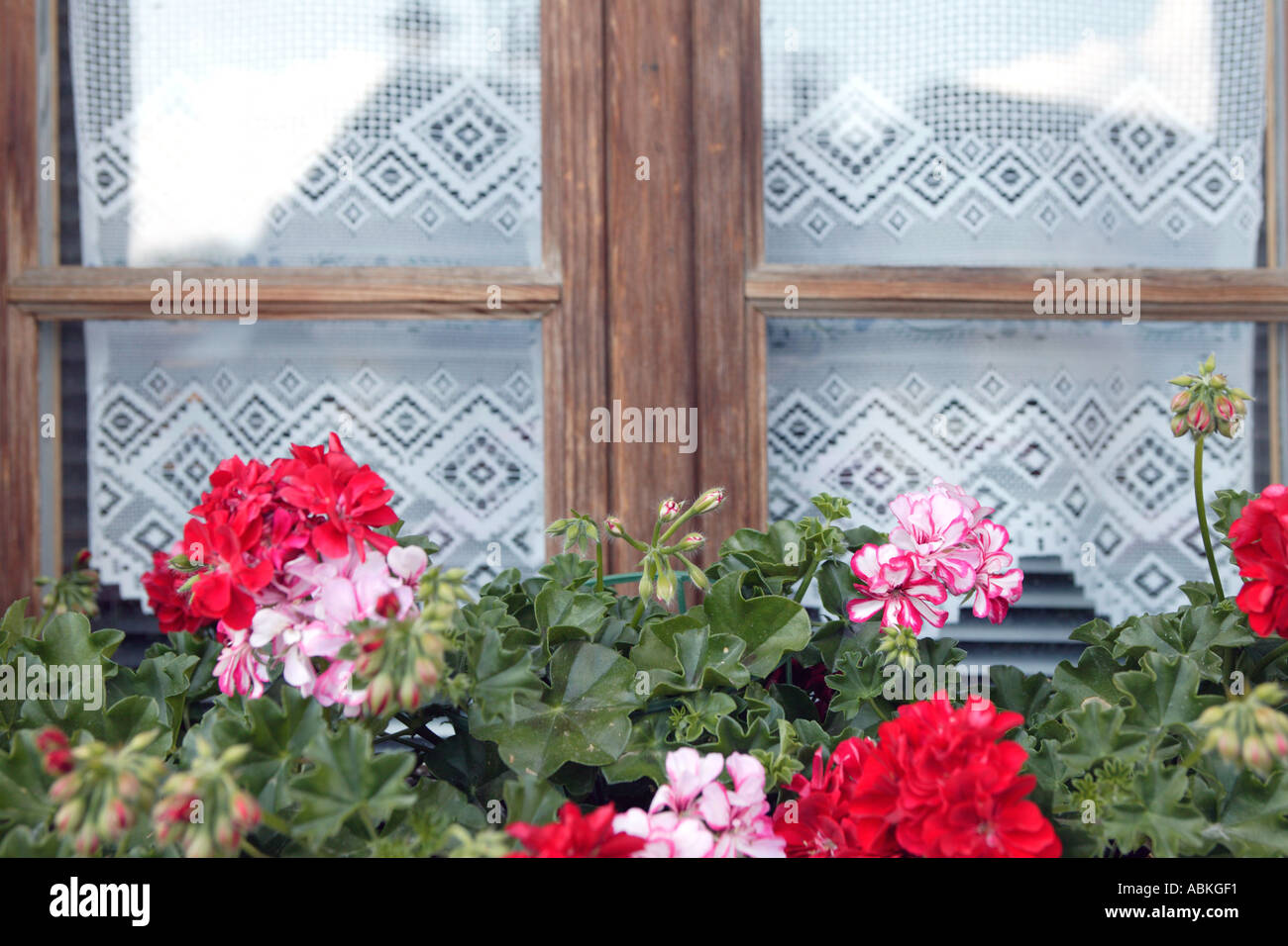 Traditional swiss chalet window boxes hi-res stock photography and ...