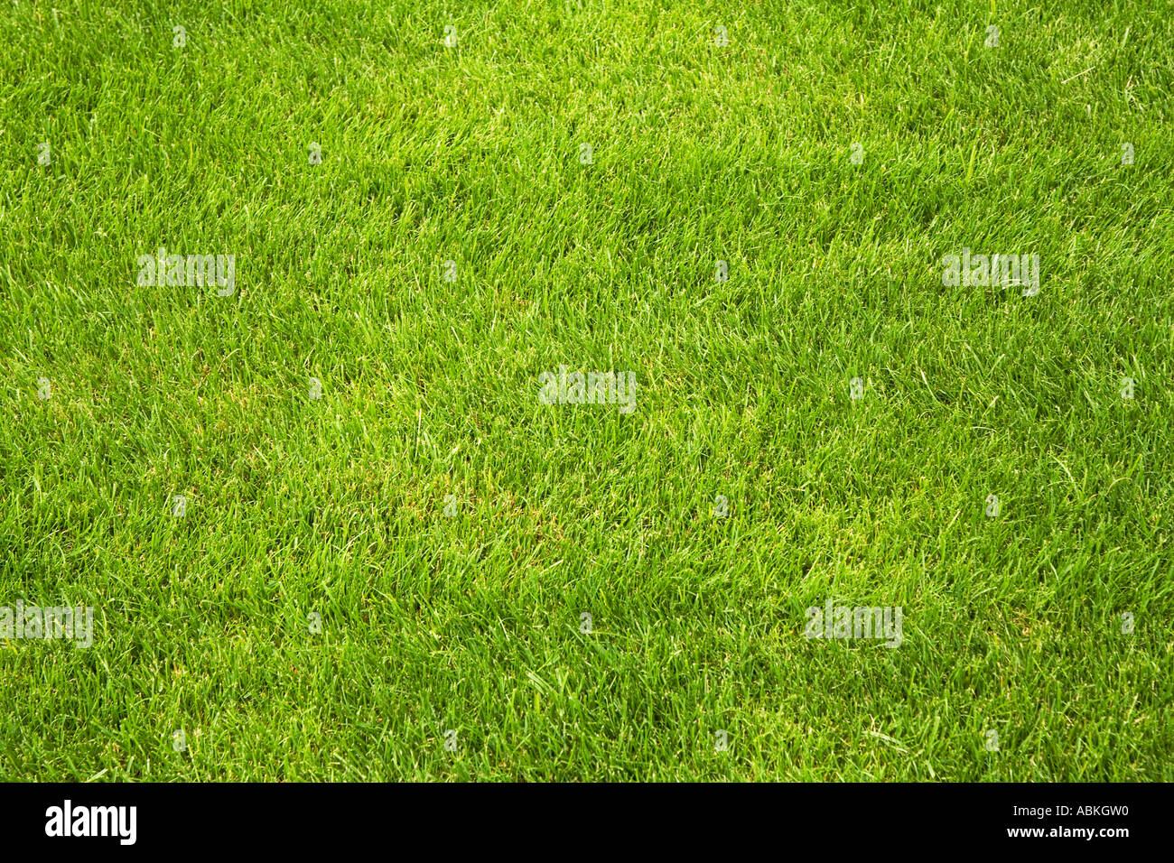 Perfect mowed lawn hi-res stock photography and images - Alamy