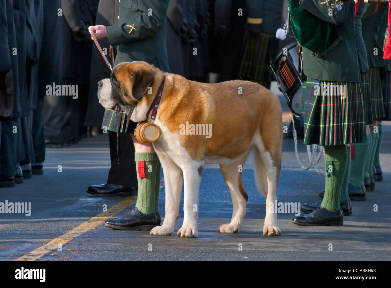 Military mascot hi-res stock photography and images - Alamy