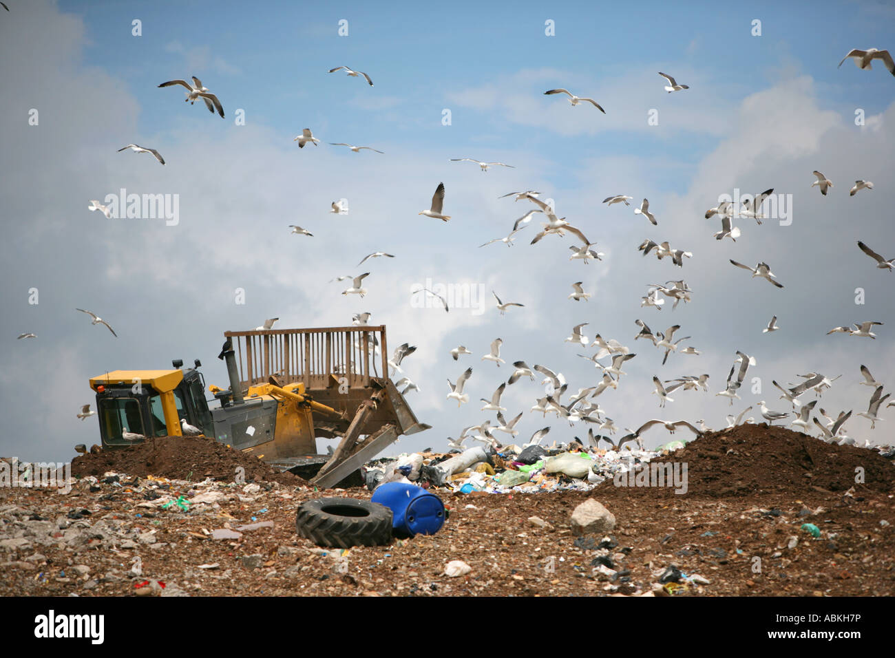 Bulldozer on landfill site machine and nature Stock Photo - Alamy