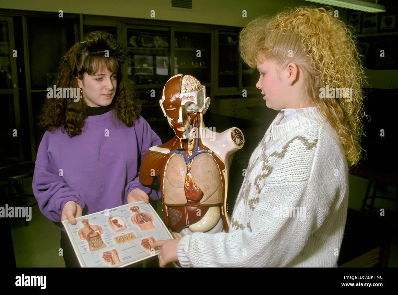 Students female anatomy hi-res stock photography and images - Alamy