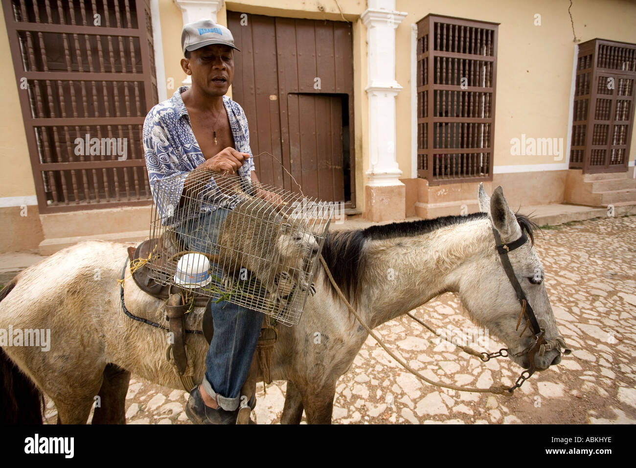 Jutia cuba hi-res stock photography and images - Alamy