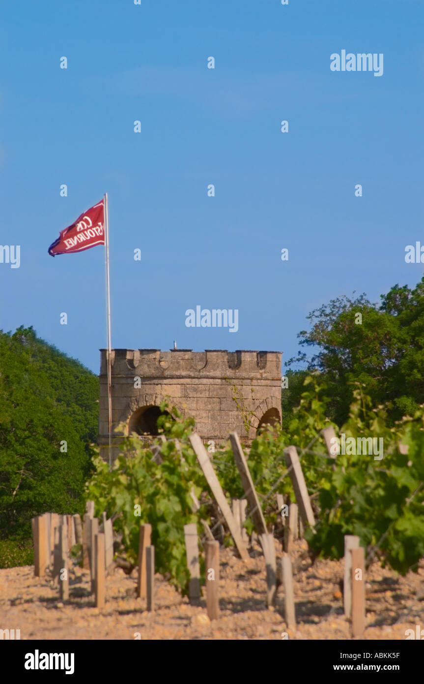 The vineyard, tower and flag of Chateau Cos d'Estournel Saint Estephe ...