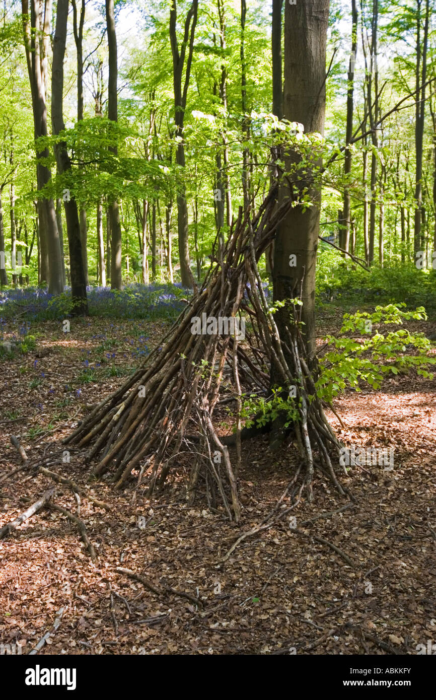West Woods Marlborough Wiltshire UK makeshift shelter or bender in ...