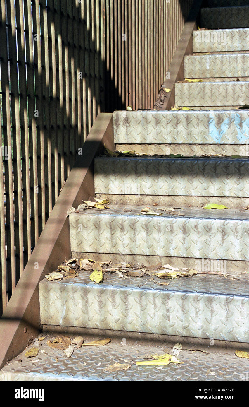 rough looking metal steps with leaves on it Stock Photo - Alamy