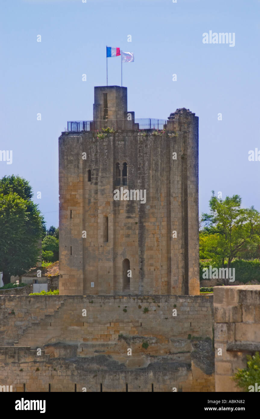 The emblematic Chateau du Roi (King's Castle) tower donjon in the Saint ...