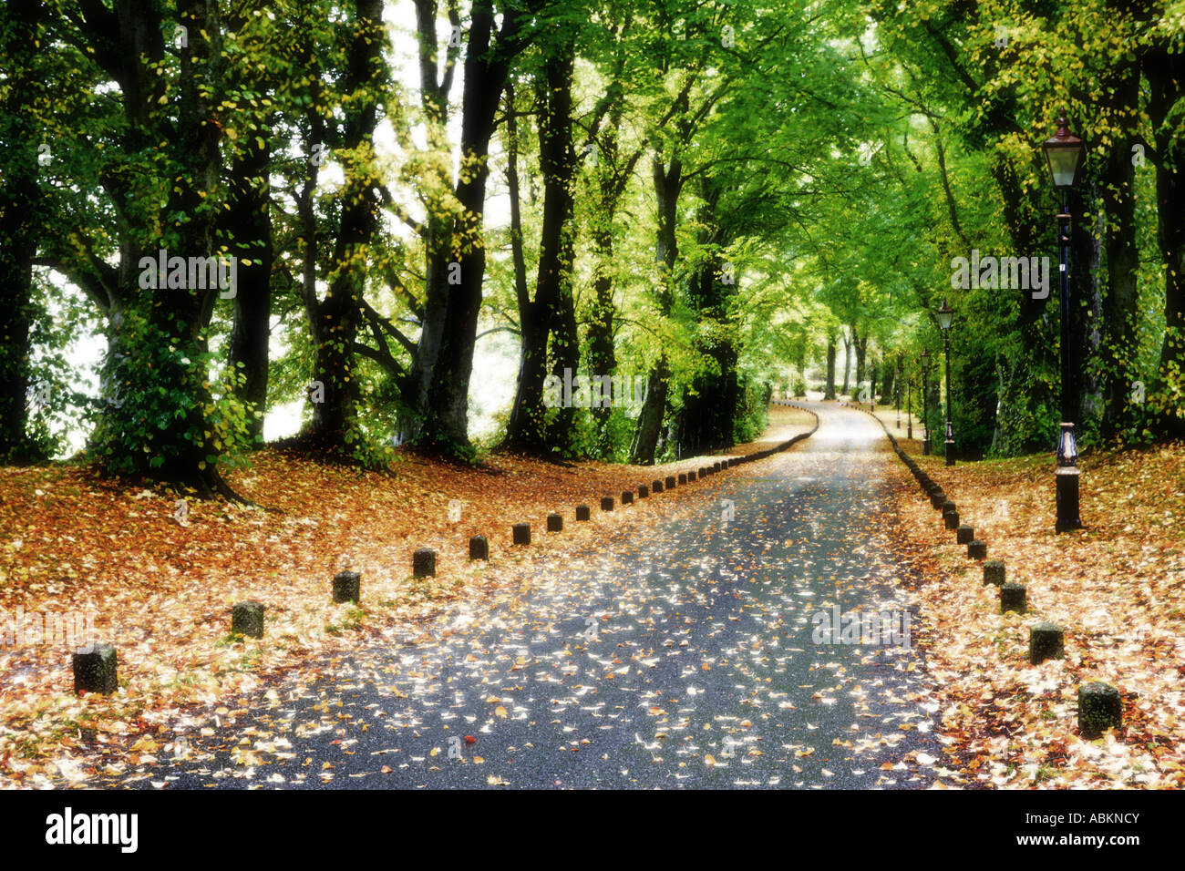 Castle Driveway High Resolution Stock Photography and Images - Alamy
