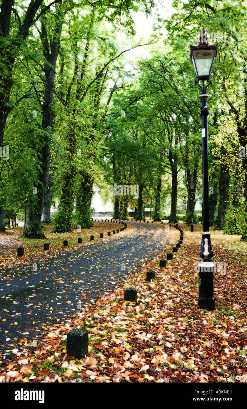 Autumn scenic image of a long narrow driveway with luss green trees and ...
