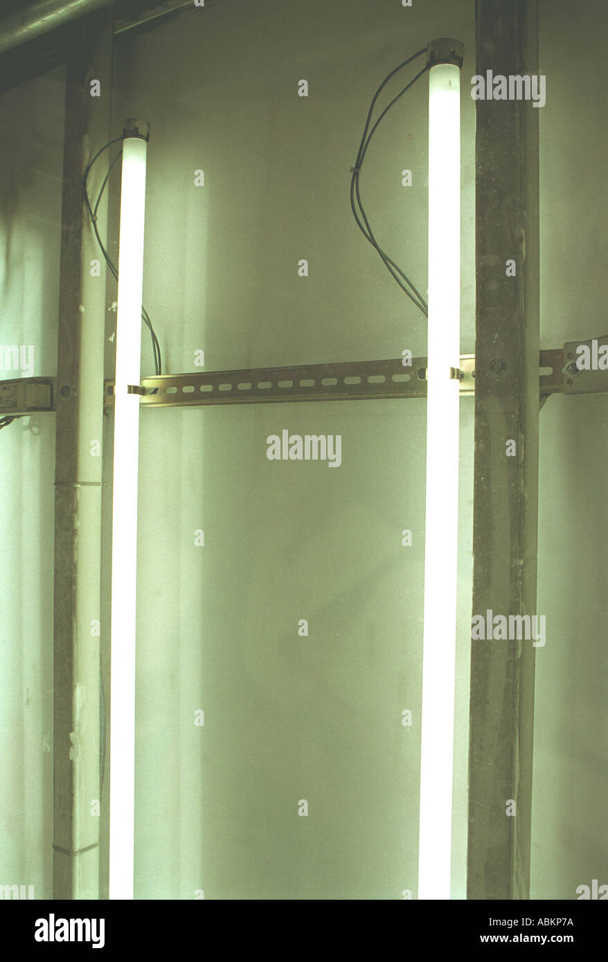 two lit fluorescent tubes on open billboard ad Stock Photo - Alamy