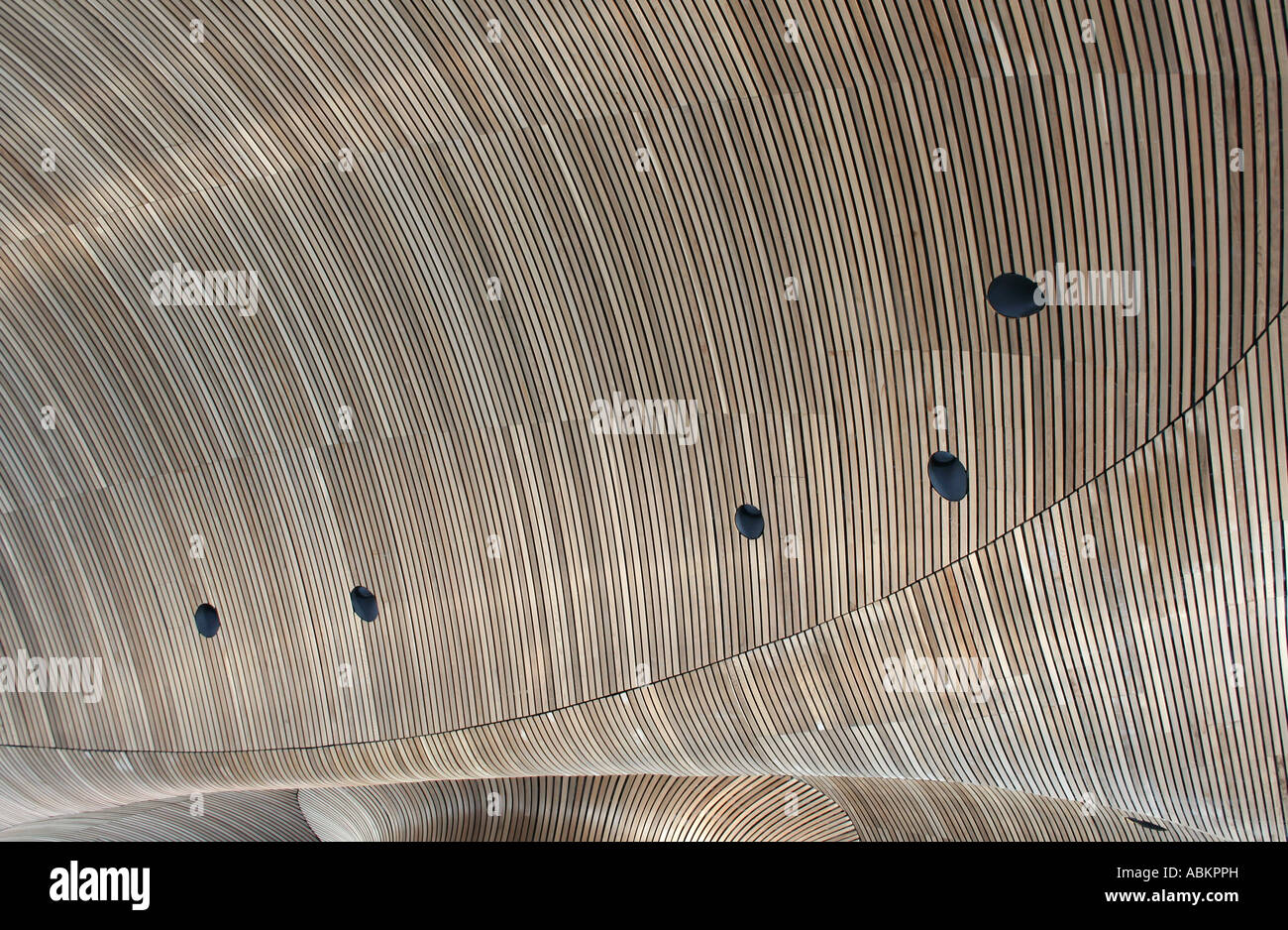 Welsh assembly ceiling hi-res stock photography and images - Alamy