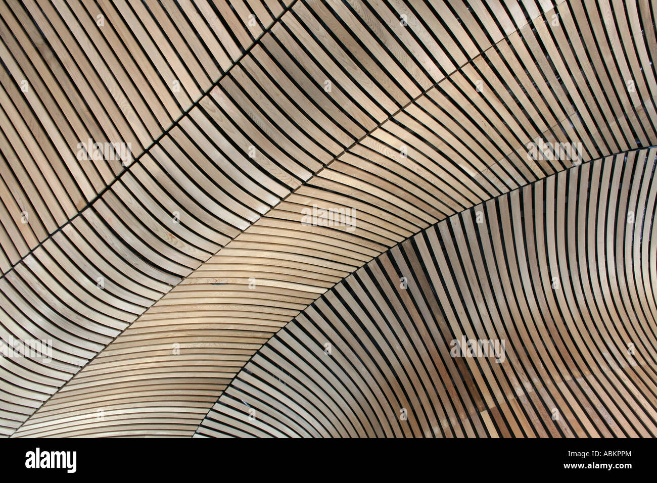 Welsh assembly ceiling hi-res stock photography and images - Alamy