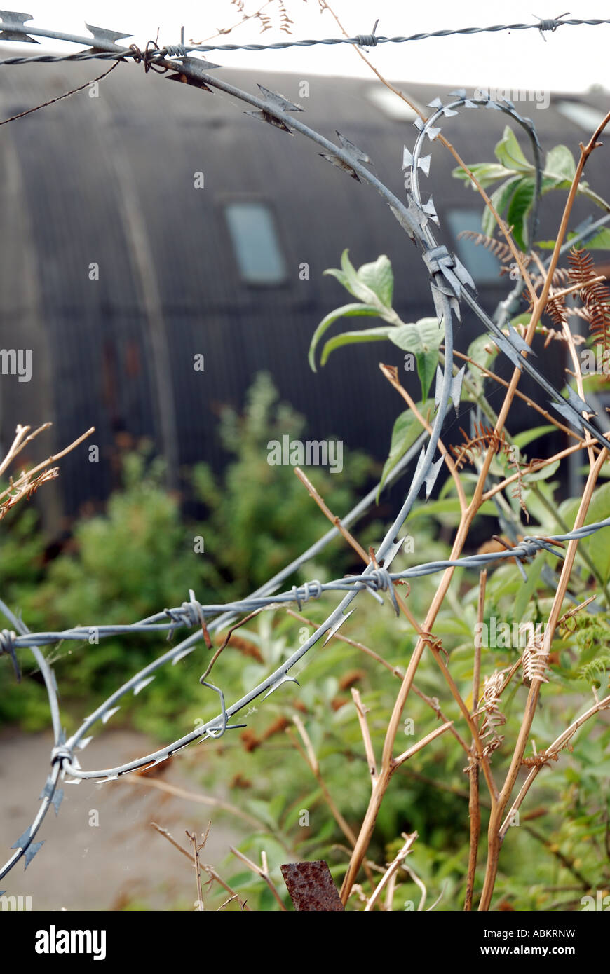 Military style Nissan hut viewed through tangle of barbed razor wire ...