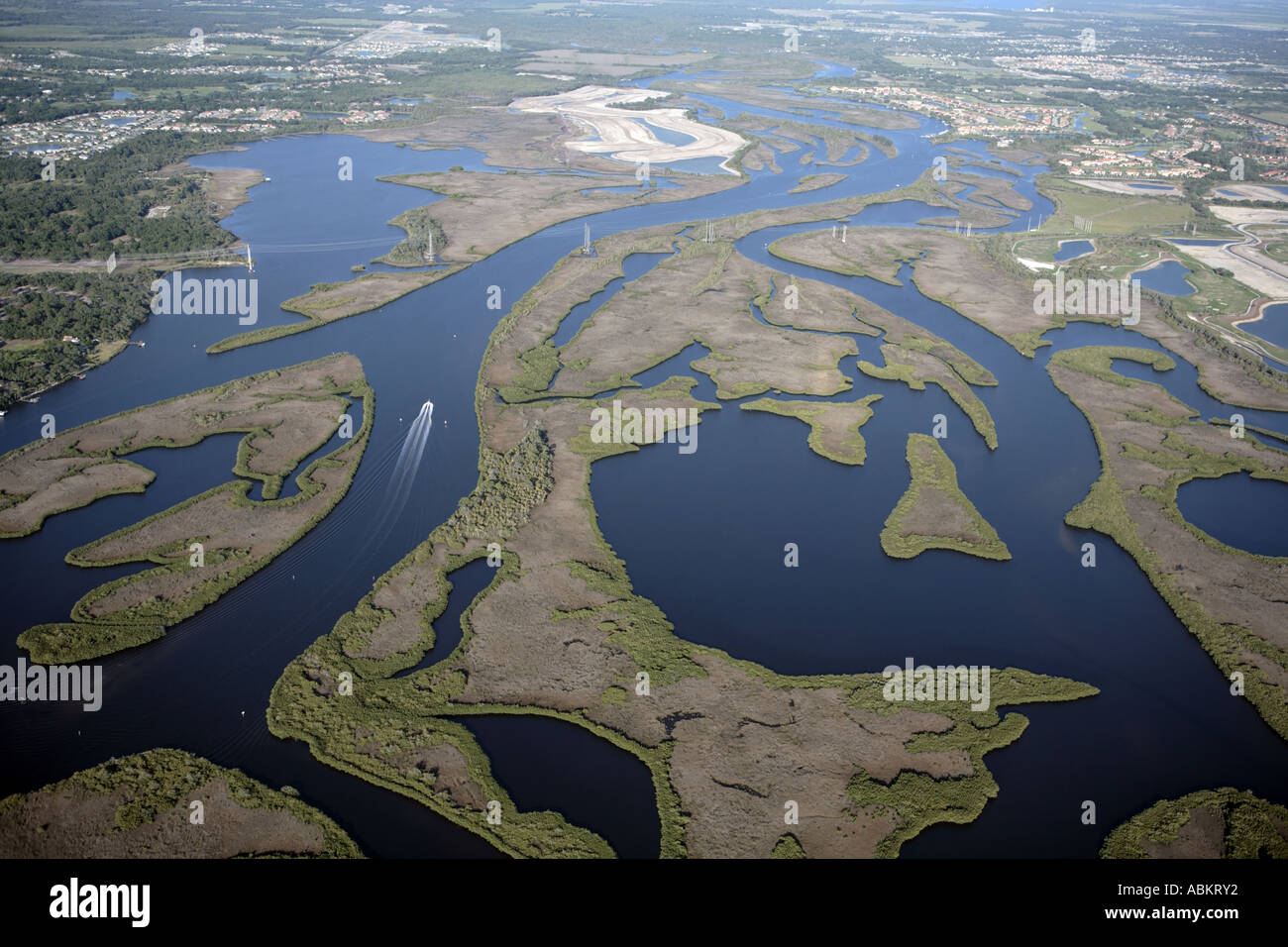 Manatee river hi-res stock photography and images - Alamy