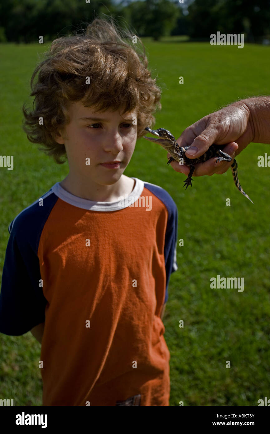 Boy Holding Young American Alligator Alligator mississippiensis ...