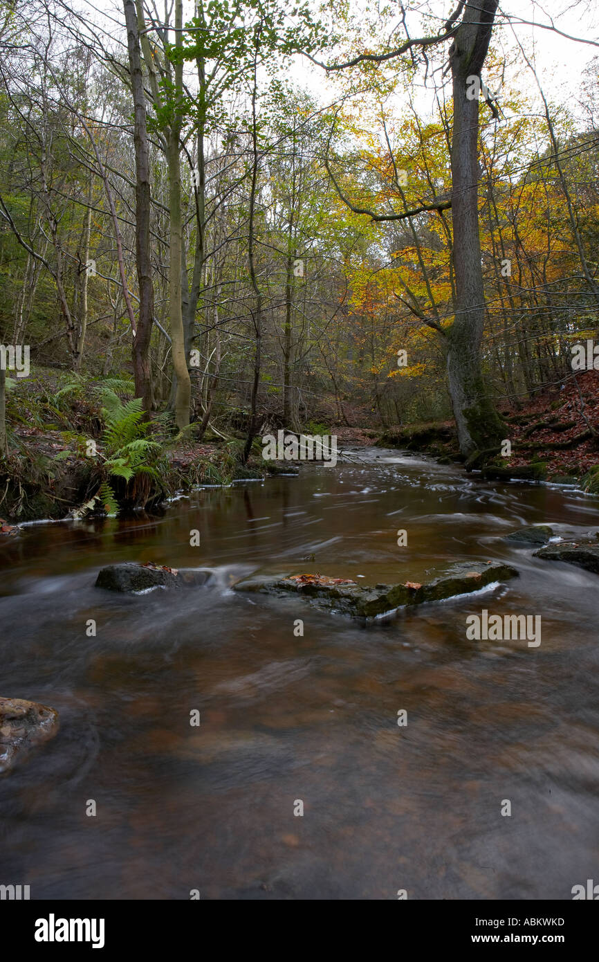May Beck in the autumn North Yorkshire Moors National Park UK Stock ...