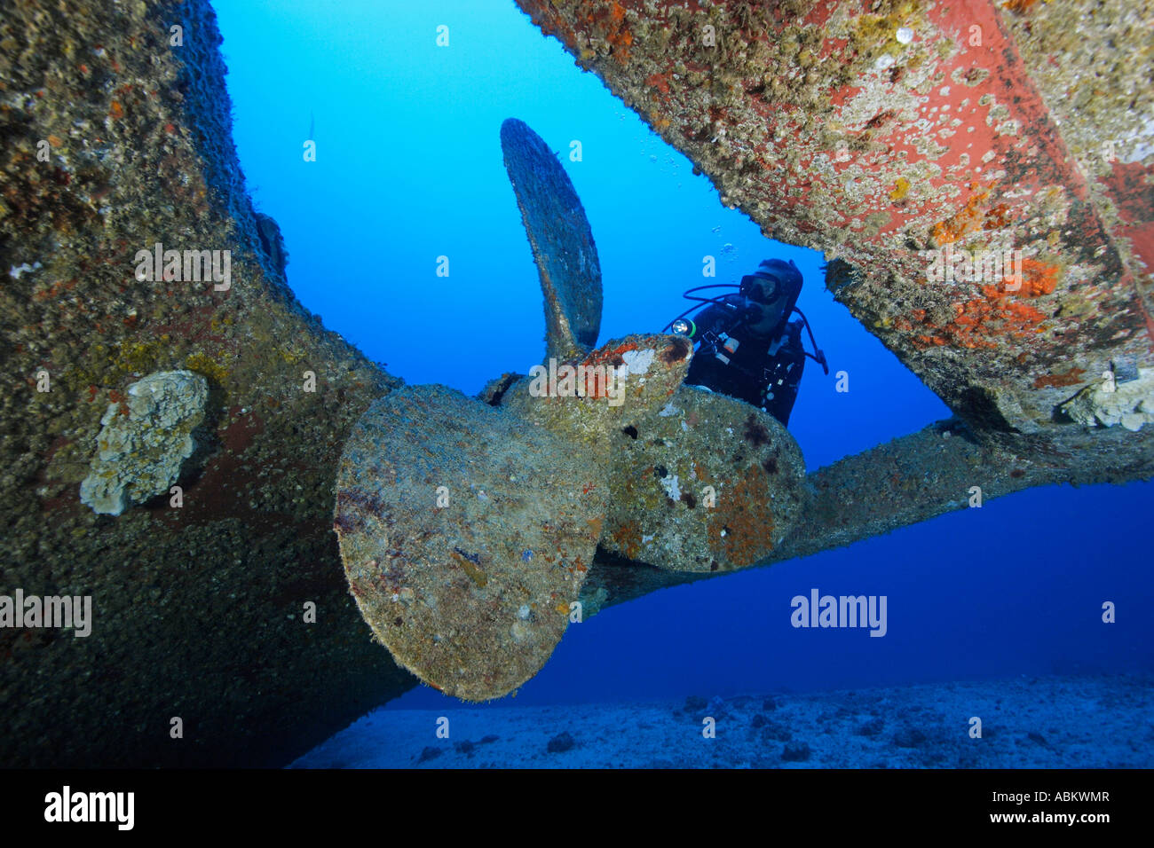 scuba diver at propeller of shipwreck Hema 1 Stock Photo - Alamy