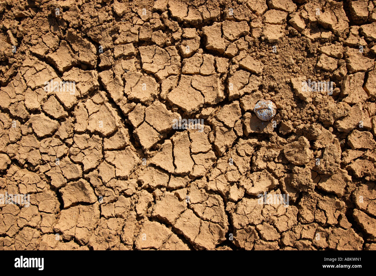 A cluster bomblet (bombie) lies exposed in the cracked earth of Xieng ...