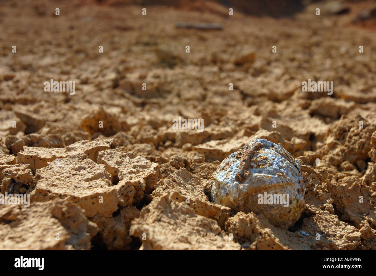Cluster bomb lying in a field in Xieng Khouang province, northern Laos ...