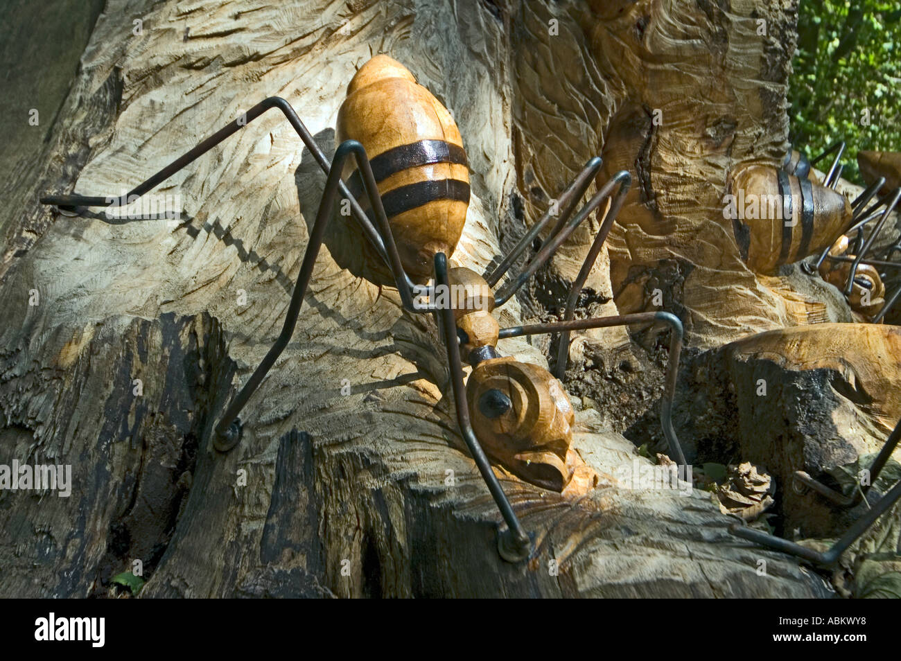 Wood carving of giant ants, on the Sculpture Trail at the Crich Tramway ...