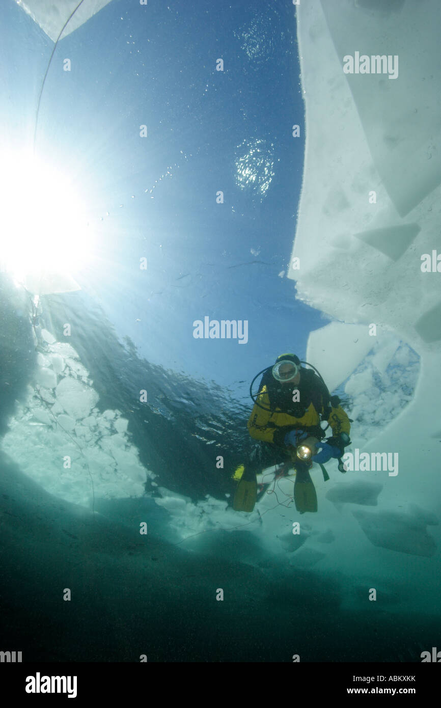 scuba diver under the ice of a frozen lake Stock Photo - Alamy