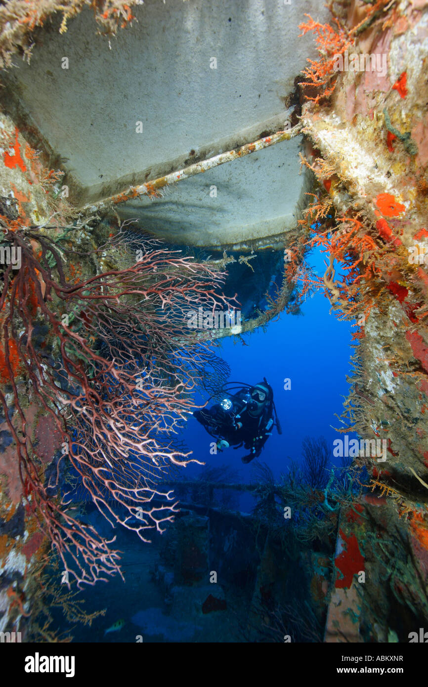 Diver exploring sunken ship hi-res stock photography and images - Alamy