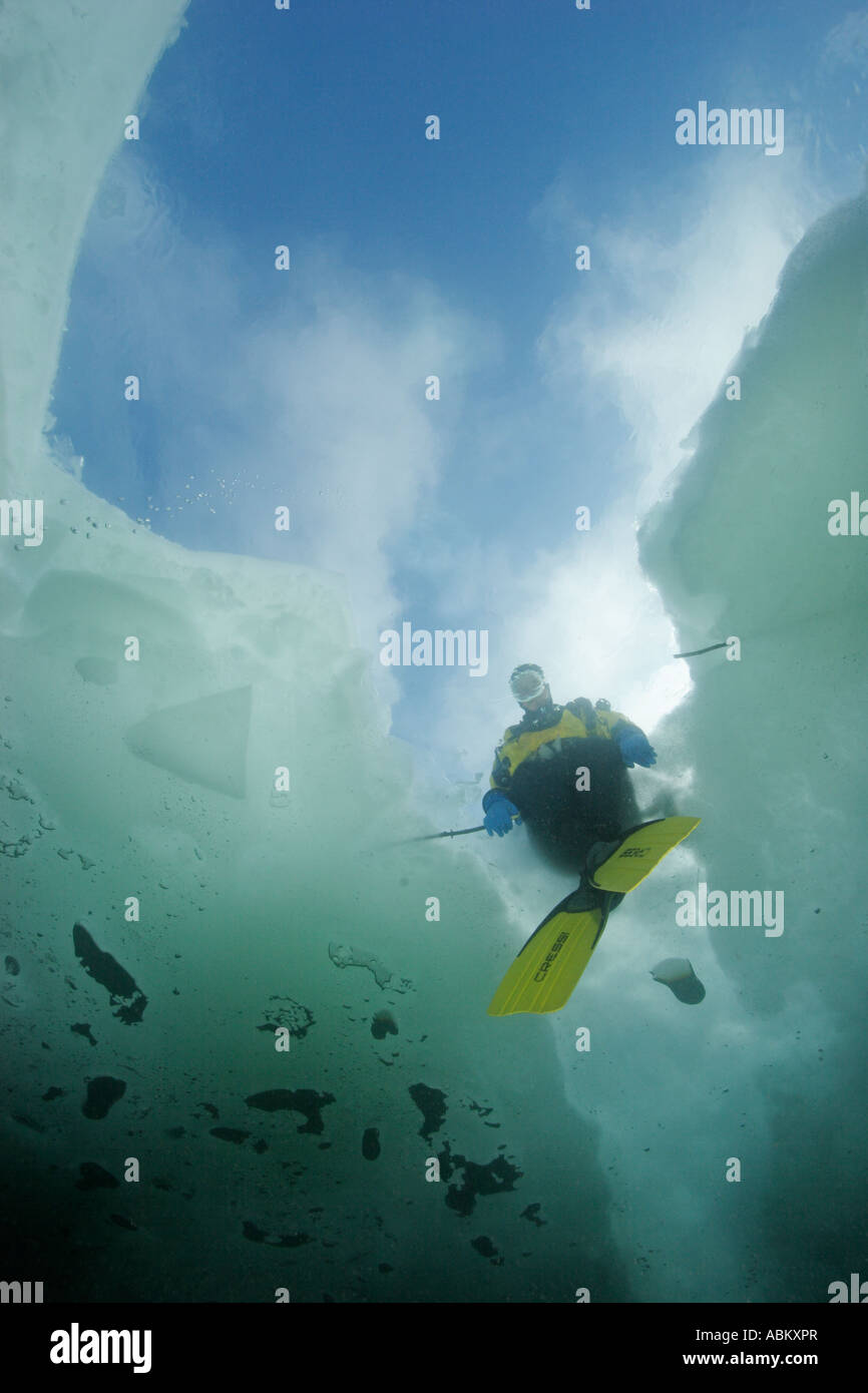 Ice diver diving into frozen lake hi-res stock photography and images ...
