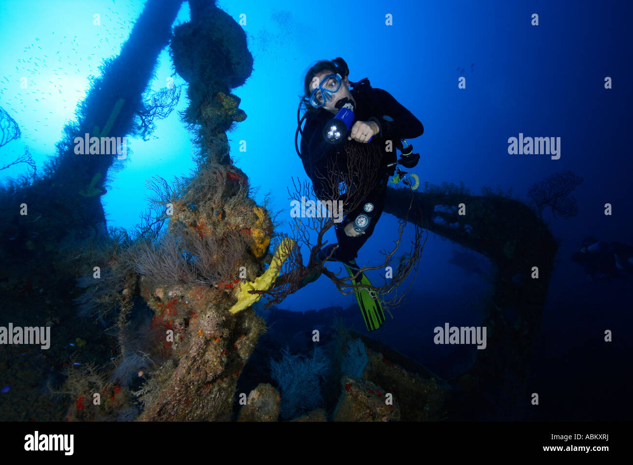 scuba diver at shipwreck of the "Bianca C Stock Photo - Alamy