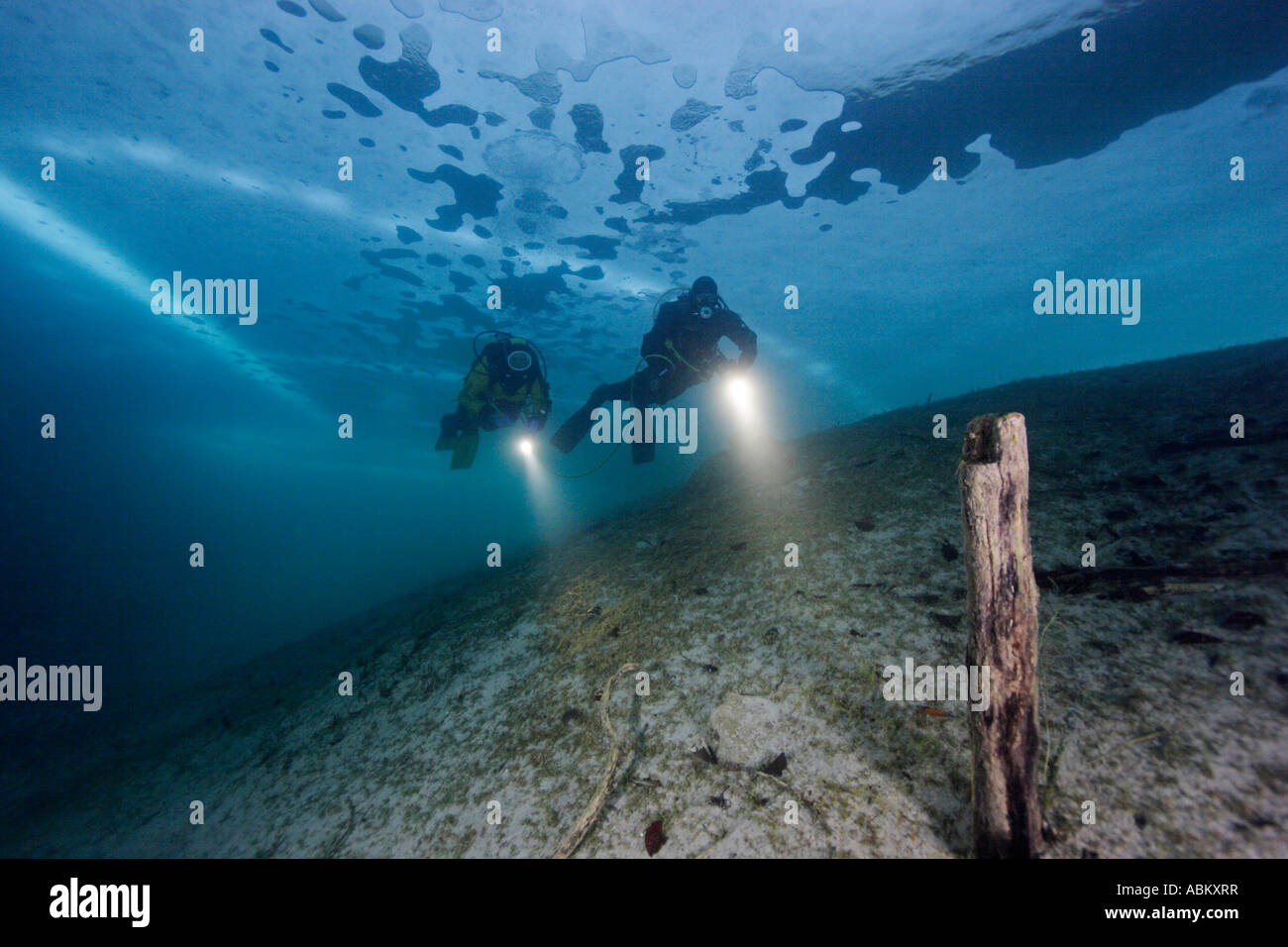 2 scuba diver in a frozen lake Stock Photo - Alamy