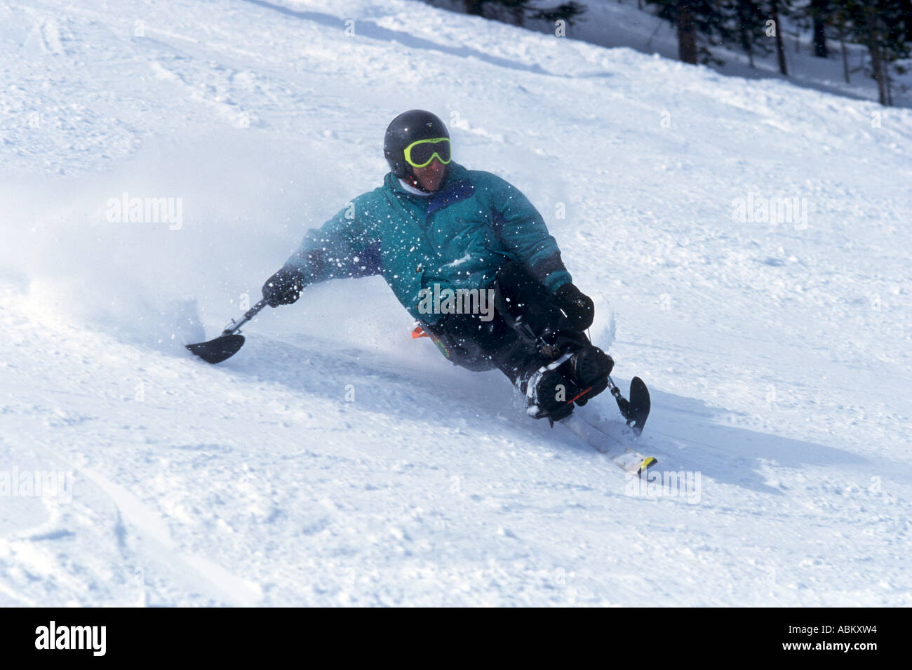 Active lifestyle for handicapped person Skiing Stock Photo - Alamy