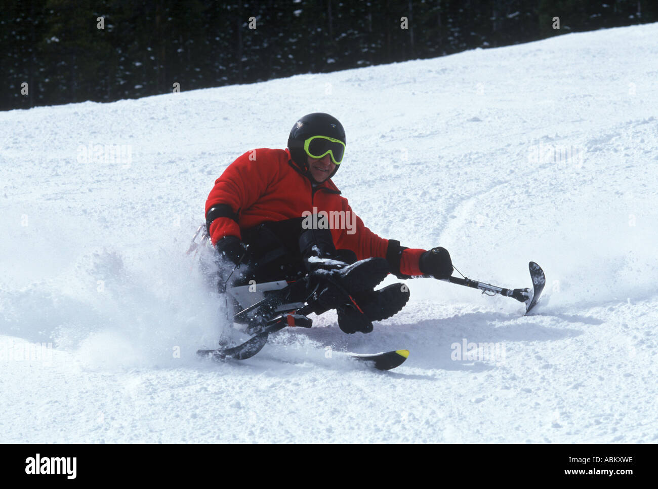 People handicapped skiing hi-res stock photography and images - Alamy