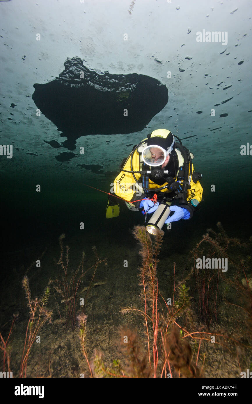 scuba diver in crystal clear water under the ice Stock Photo - Alamy