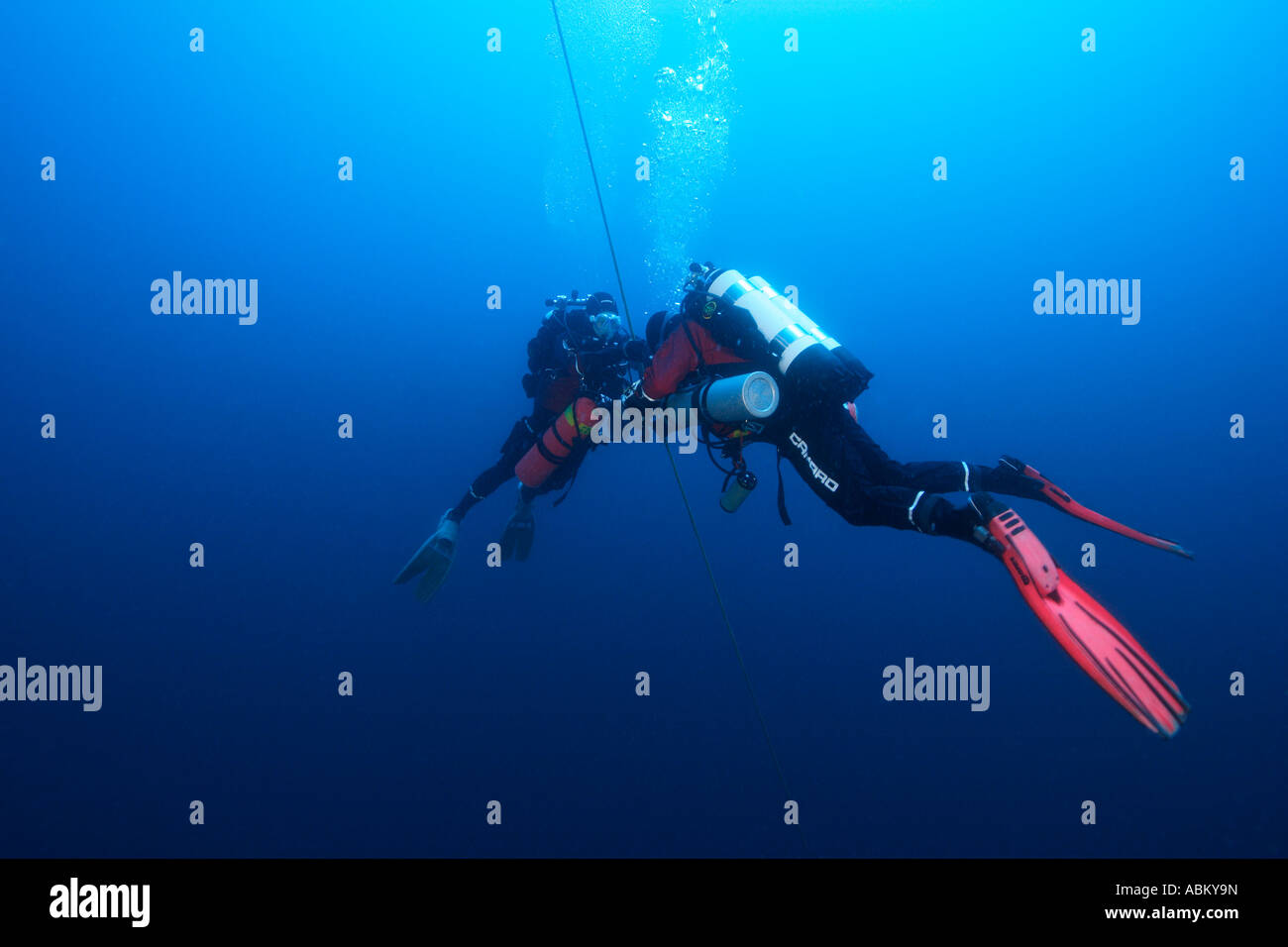 scuba diver at the decompression line Stock Photo - Alamy