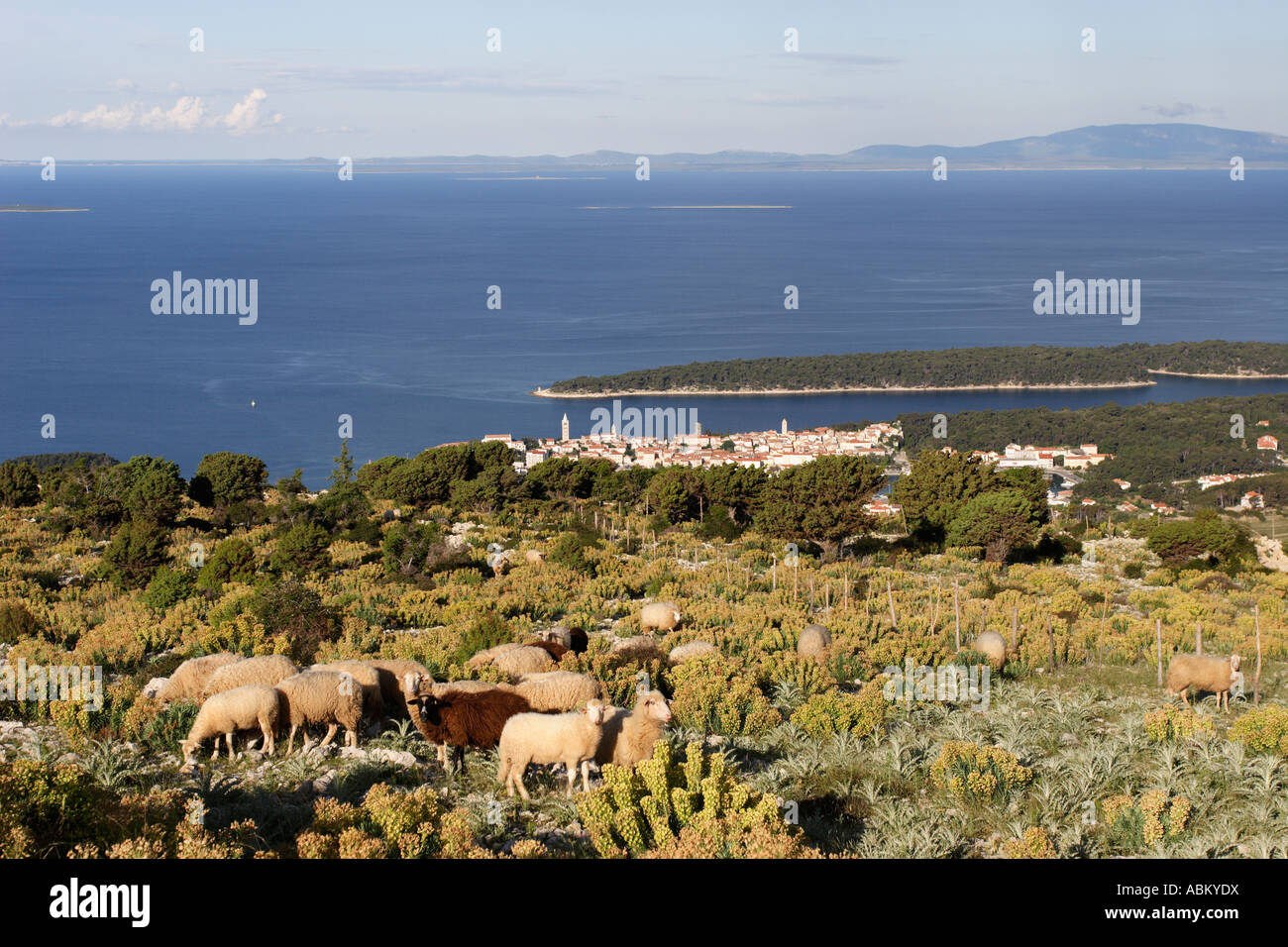 sight at the city of Rab Stock Photo - Alamy