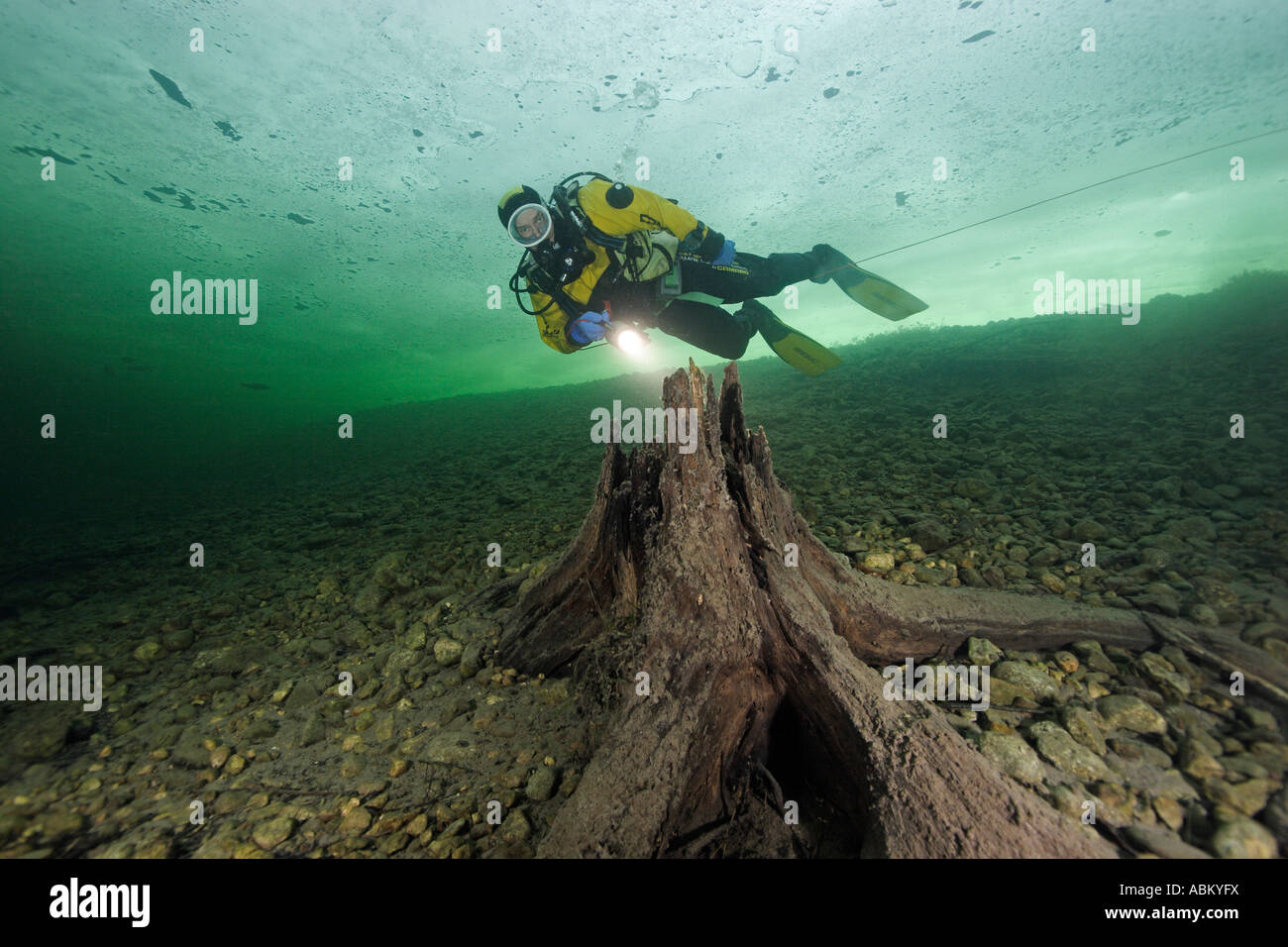 scuba diver in crystal clear water under the ice Stock Photo - Alamy