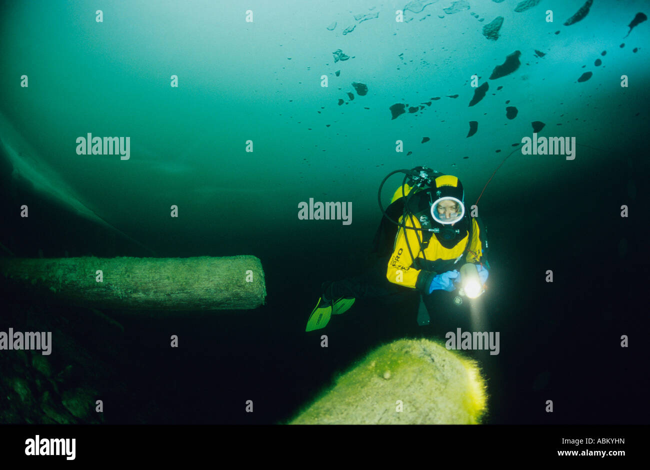 Ice diver diving into frozen lake hi-res stock photography and images ...