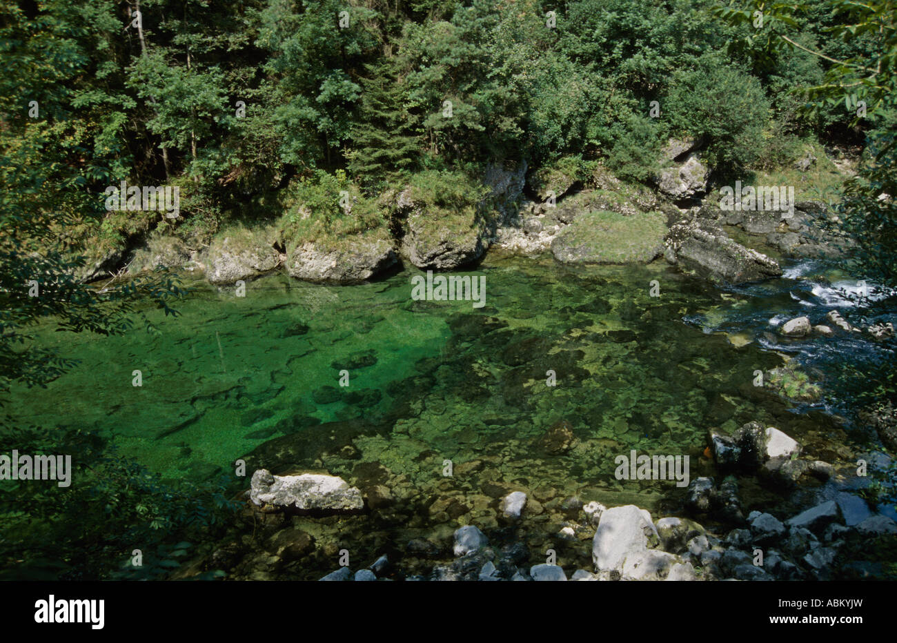 crystal clear river Stock Photo - Alamy