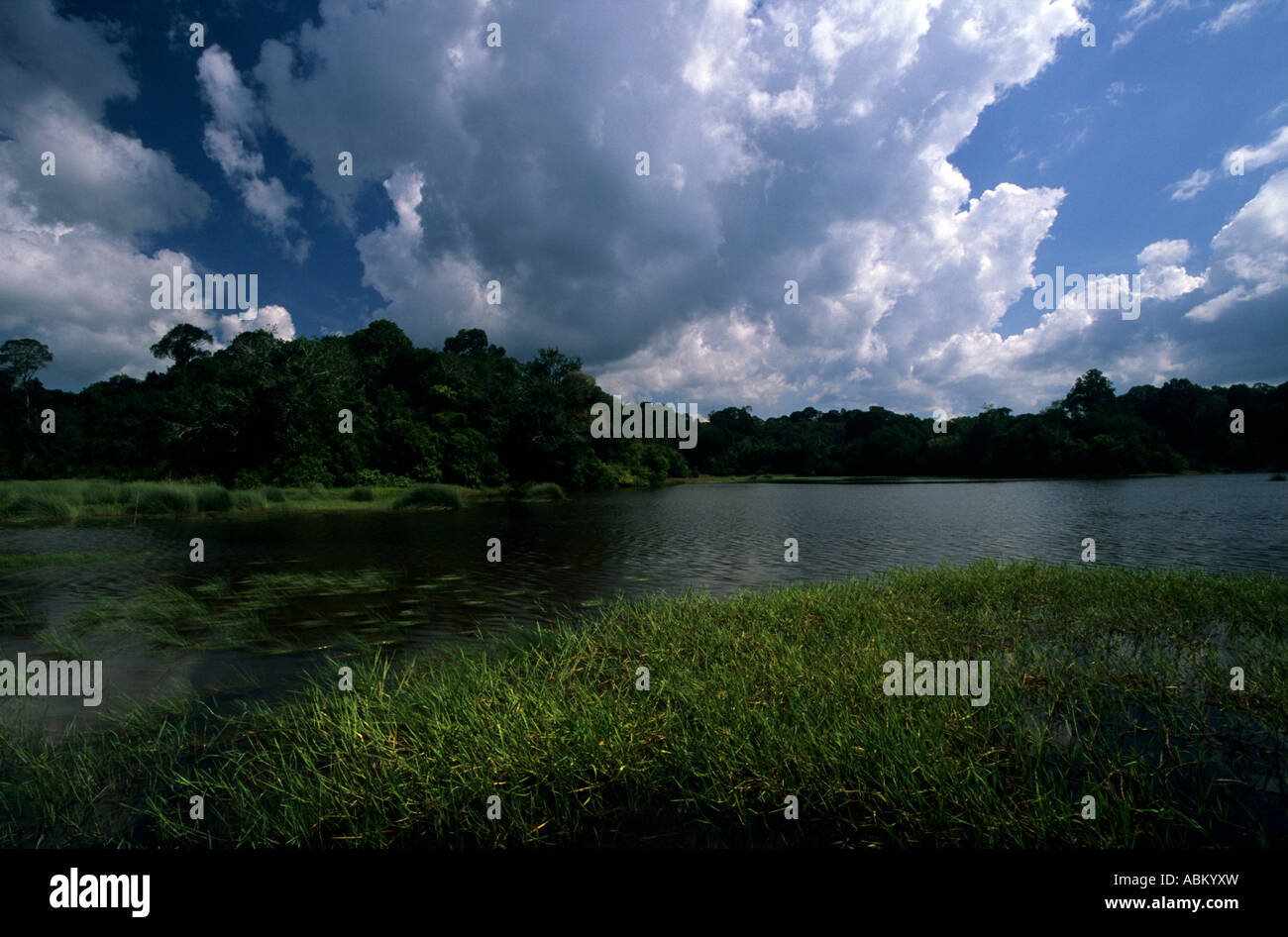 Tasek merimbun brunei hi-res stock photography and images - Alamy