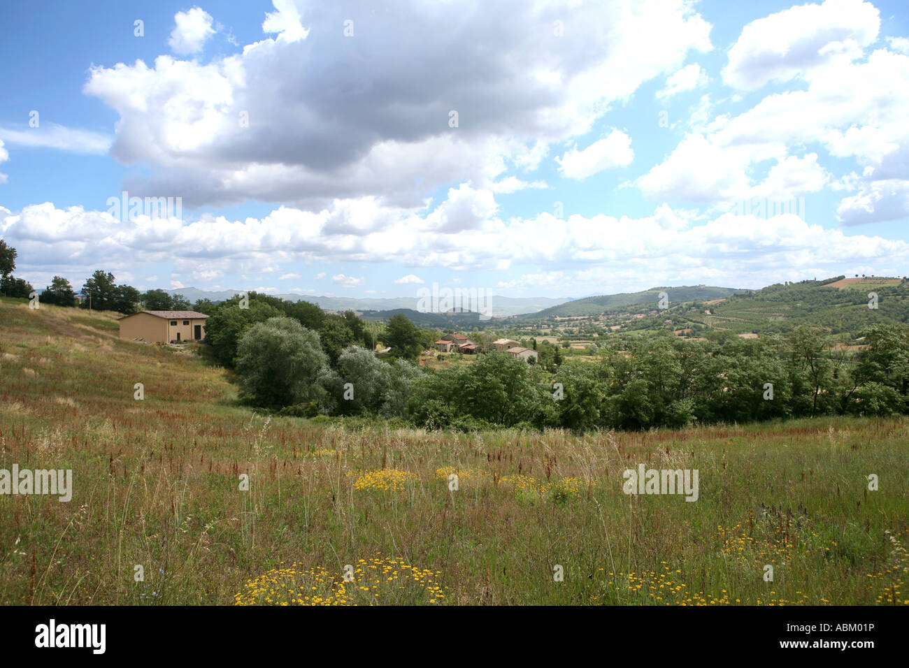 Traditional rural tuscany landscape Stock Photo - Alamy