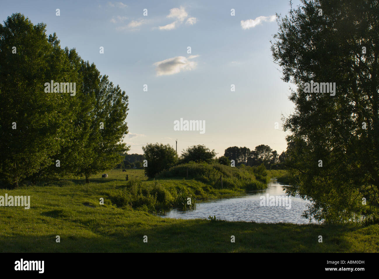 Summer evening on somerset levels hi-res stock photography and images ...