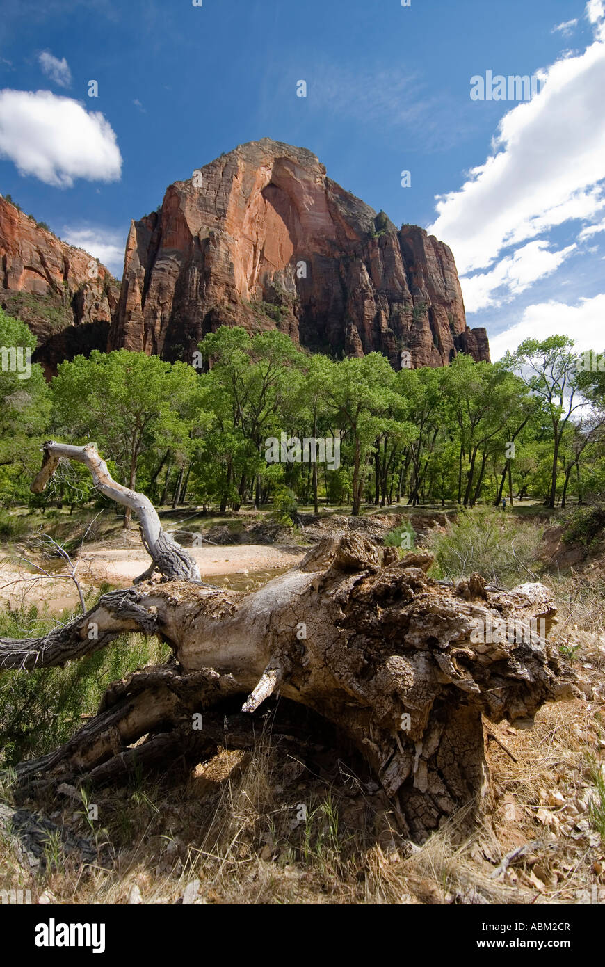 Virgin utah building hi-res stock photography and images - Alamy