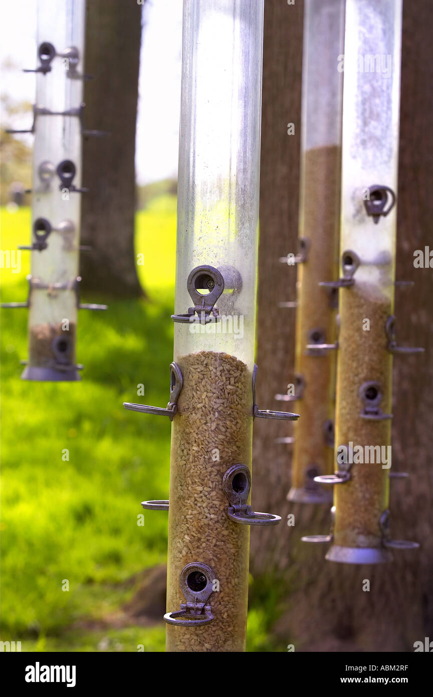 At bird feeders hi-res stock photography and images - Alamy