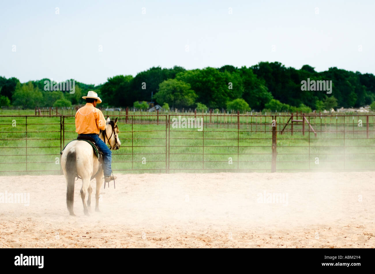 Cowboy in Cutting Pen and Cloud of Dust Stock Photo - Alamy