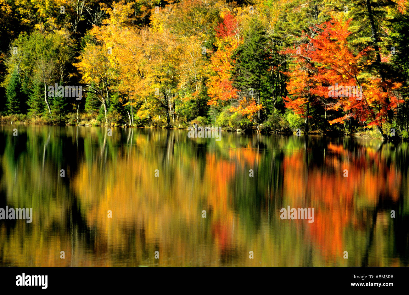 In Quebec the vivid dramatic colors of Autumn leaves draws huge crowds ...