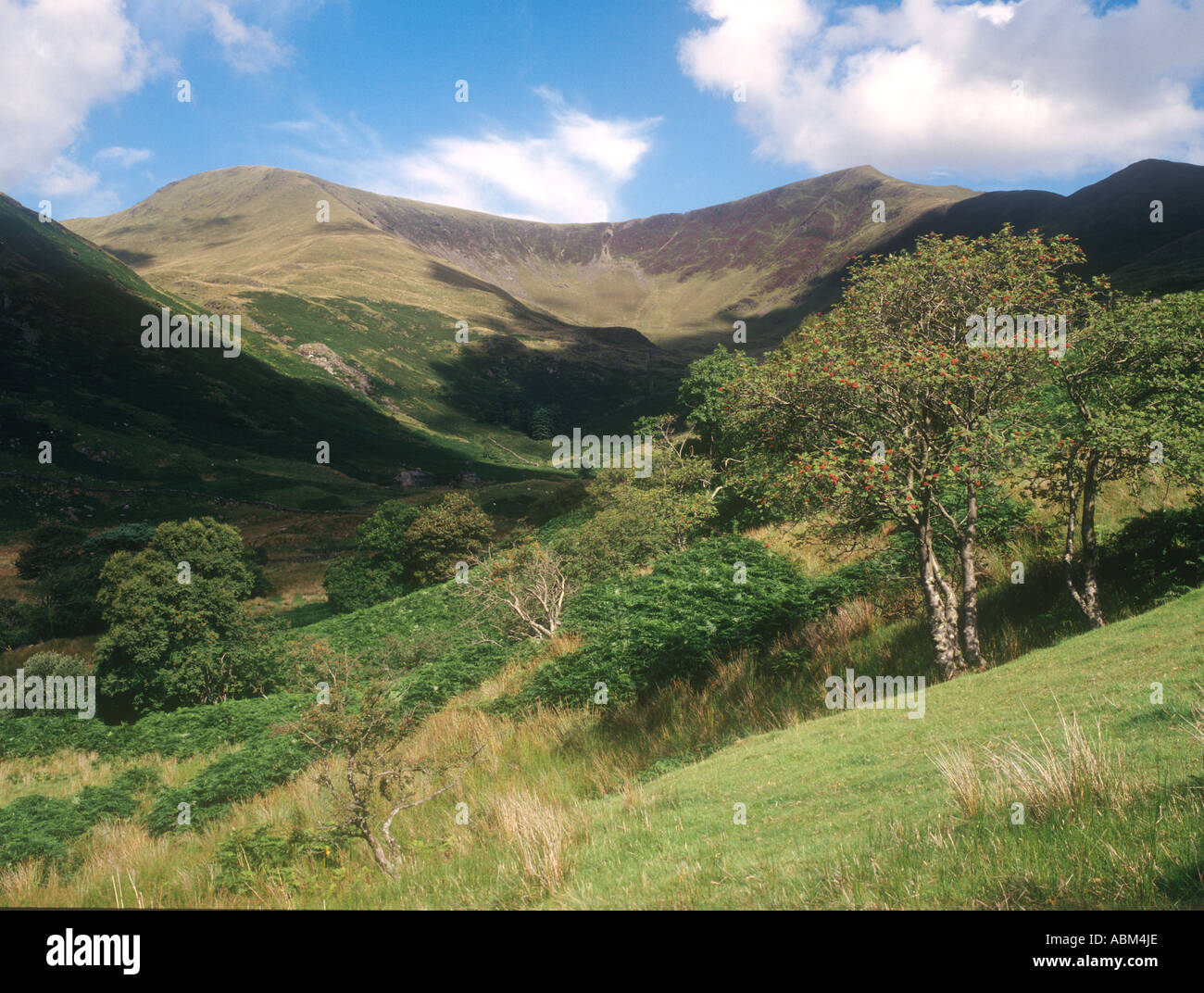 Cwm Pennant Snowdonia North West Wales Stock Photo - Alamy