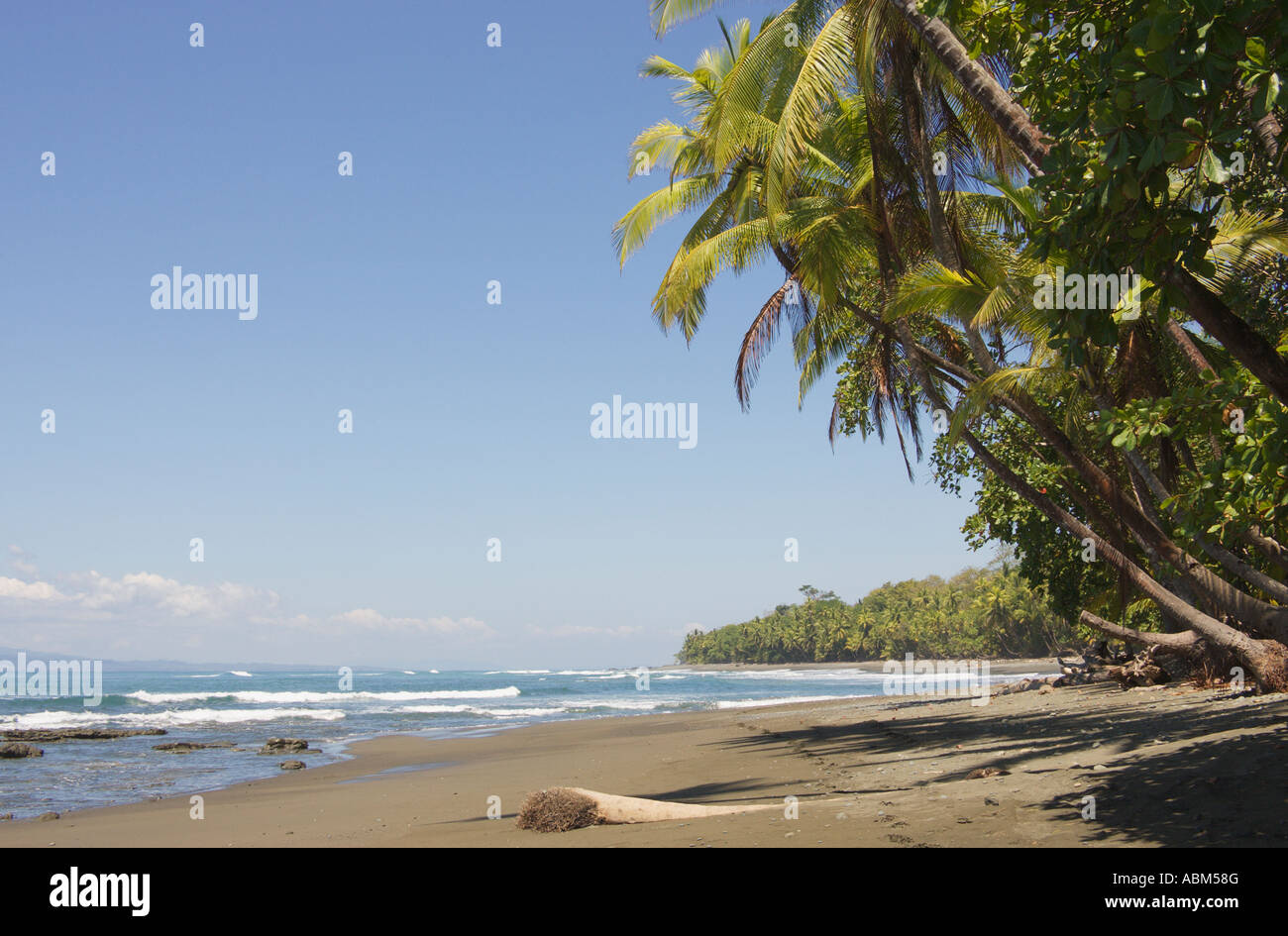 Pavones hi-res stock photography and images - Alamy