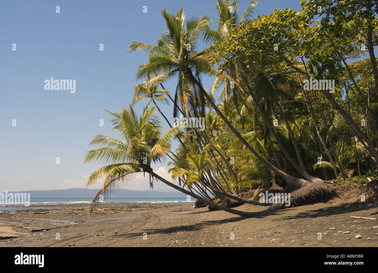 Beach pavones costa rica hi-res stock photography and images - Alamy