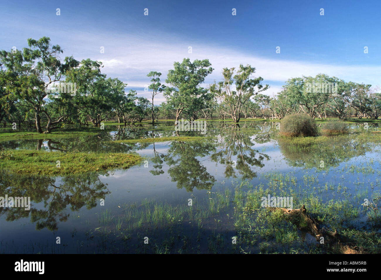Australian outback landscape transformed from desert to lush oasis ...