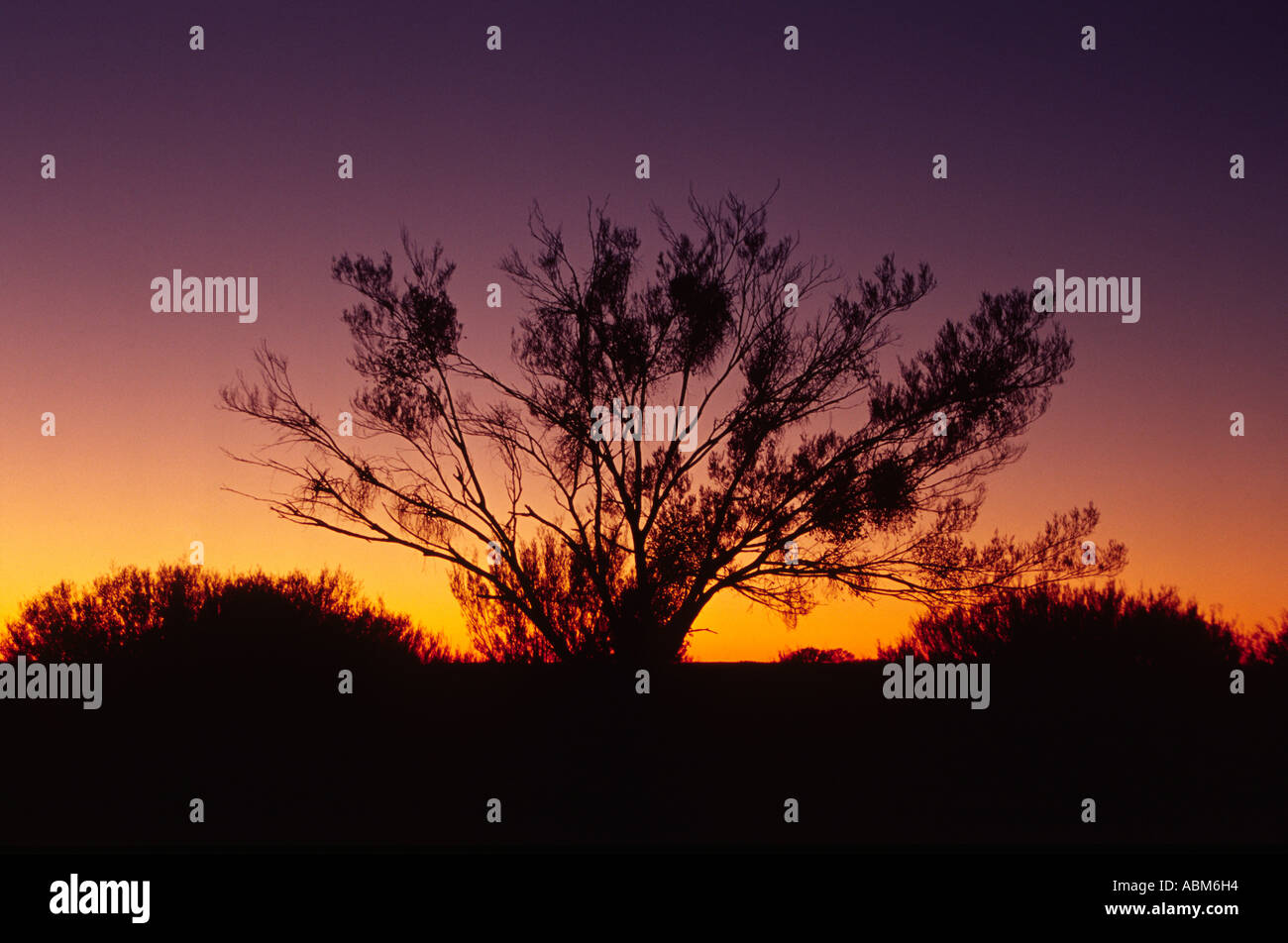West australian sunset High Resolution Stock Photography and Images - Alamy